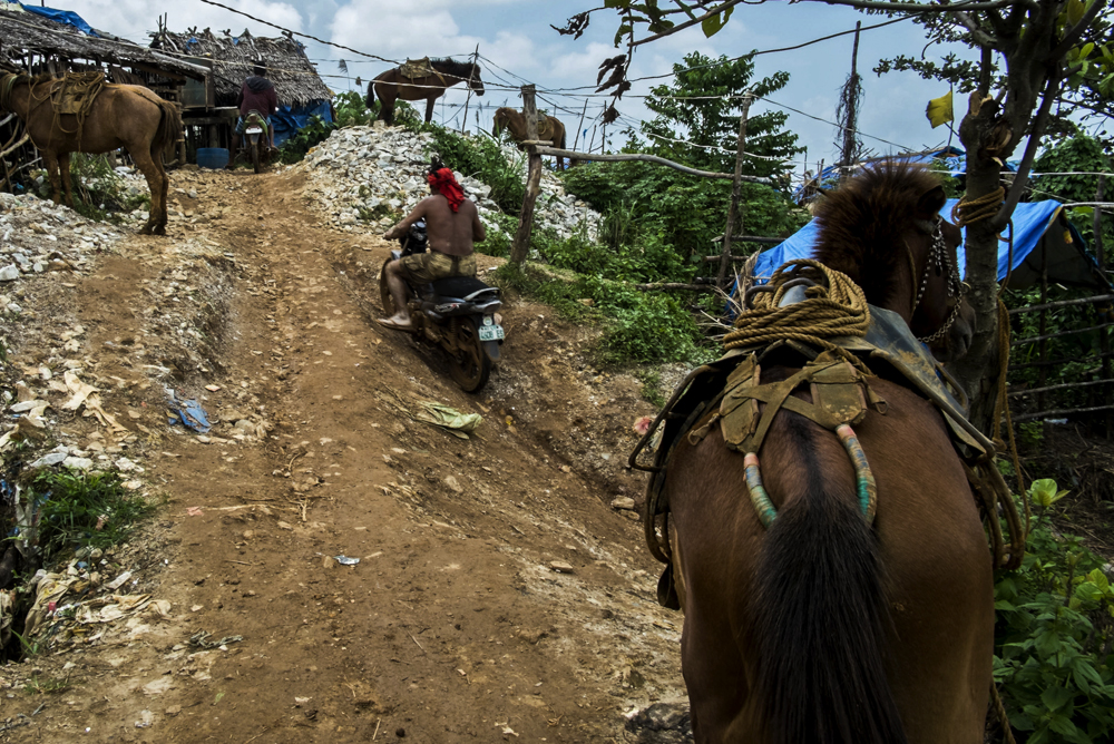 Paracale Gold - Mark Saludes